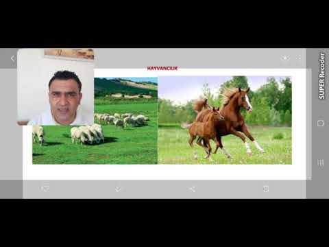 6.SINIF Orta Asya Türklerin ilk ana yurdu ve ilk Türk Topluluklarının yaşam şekli