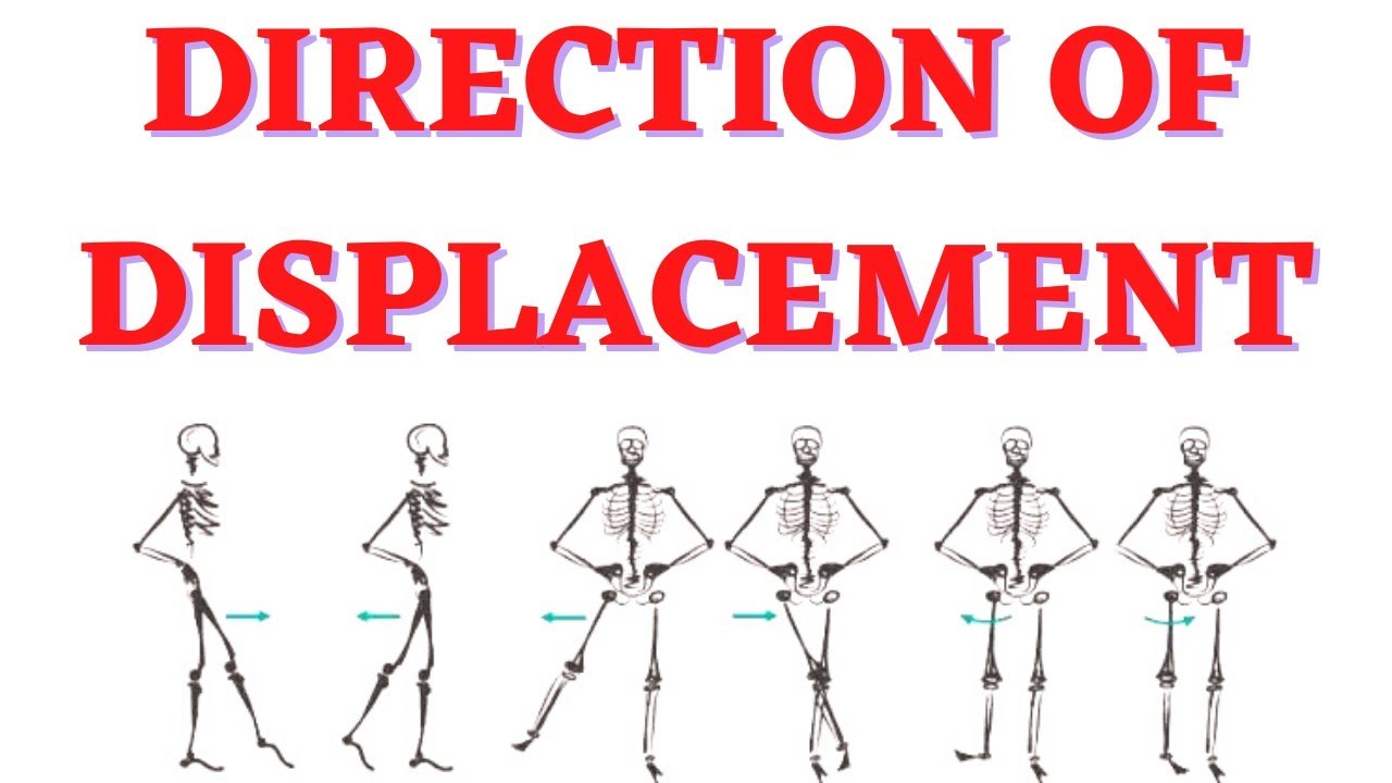 Biomechanics. Kinematic Variables (part 3). Direction of Displacement ...