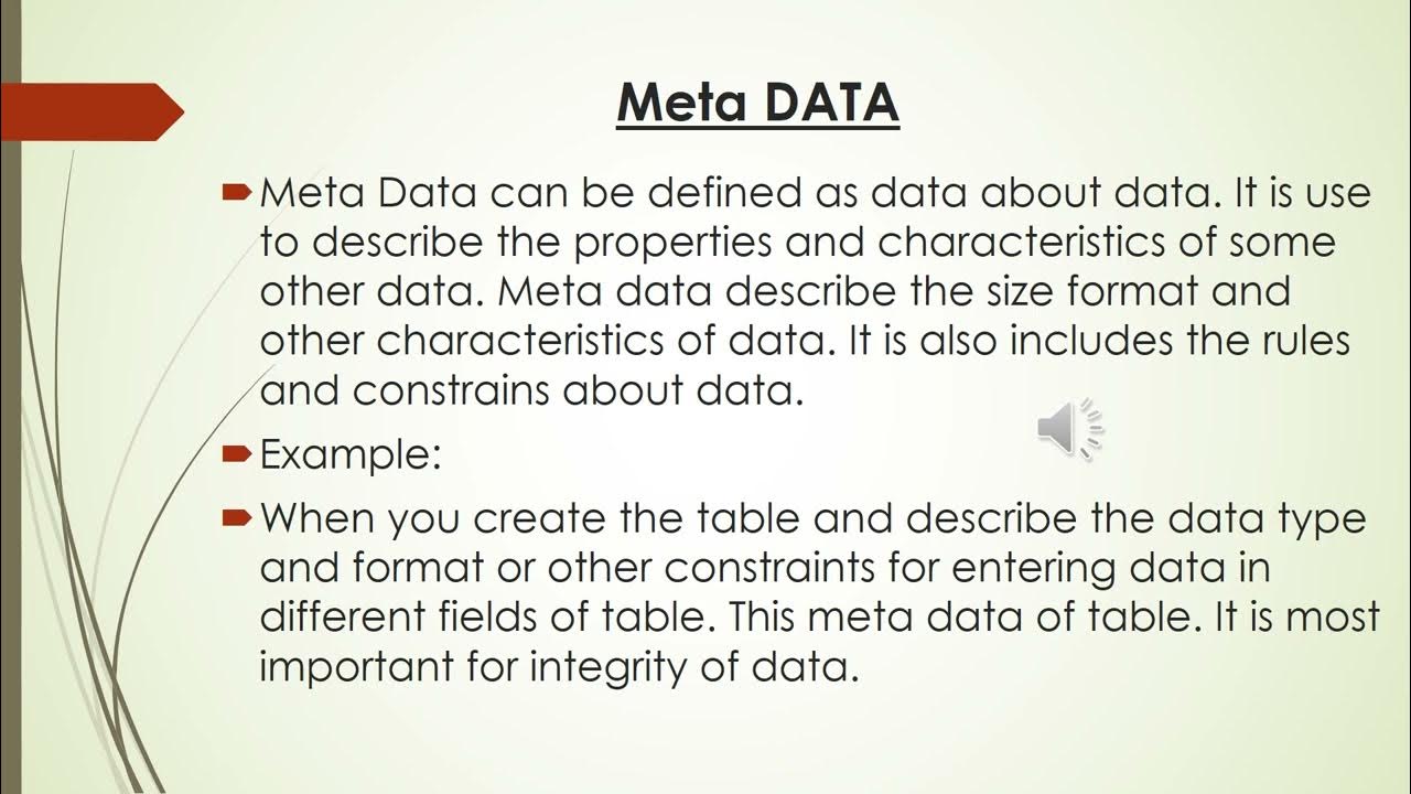 DBMS (Meta Data). - YouTube