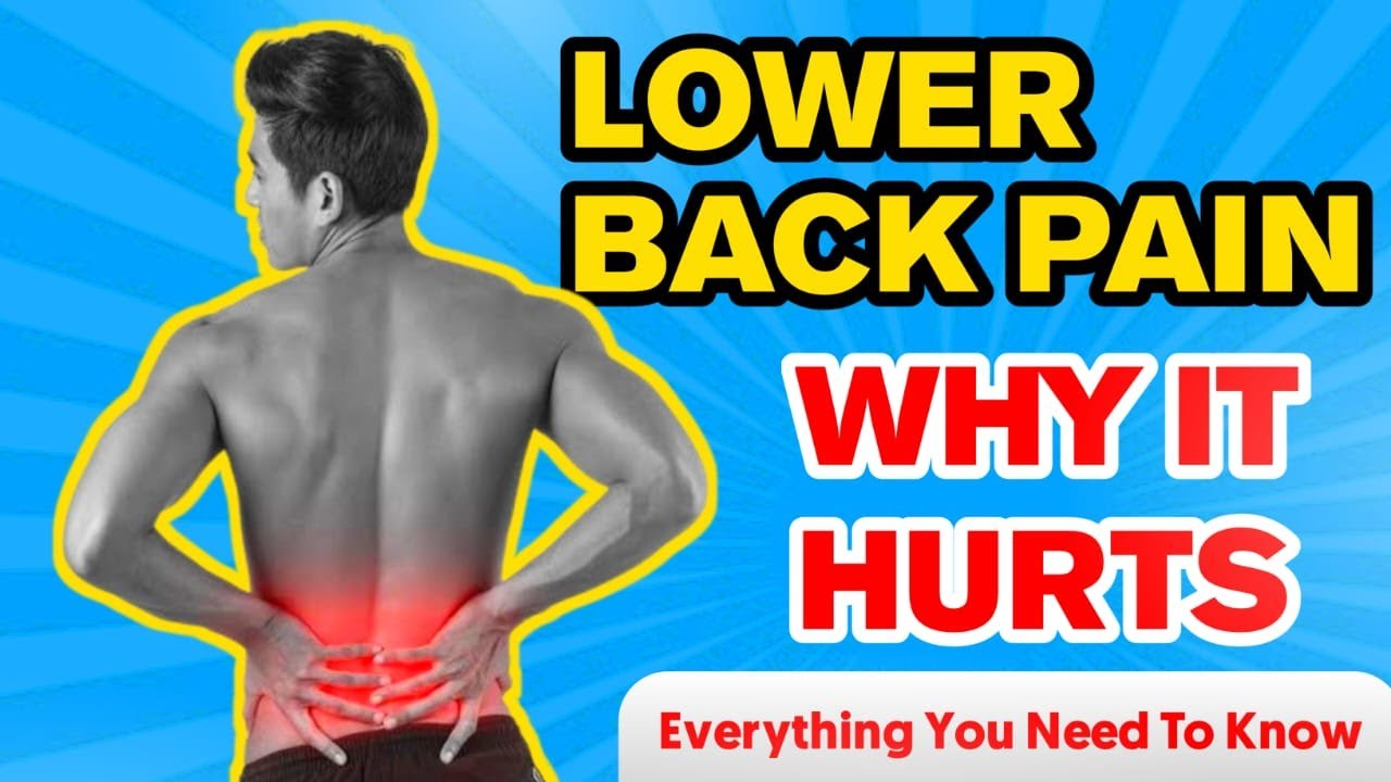 Lower Back Pain| Everything You Need To Know - YouTube
