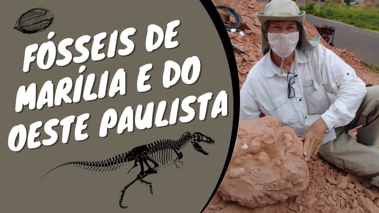 William Nava [Pleontólogo] | BRITO CONVIDA #5 - YouTube