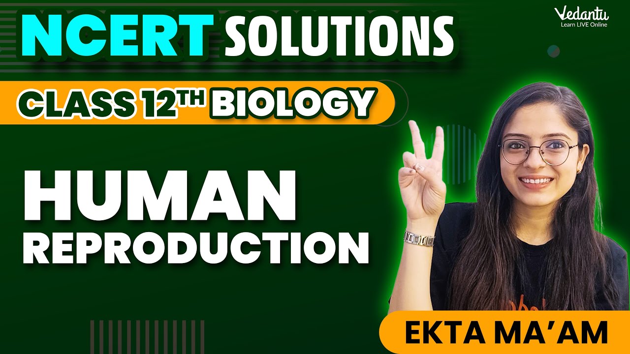 Human Reproduction Class 12 Biology (Chapter 2) | NCERT Solutions (Q.1 ...