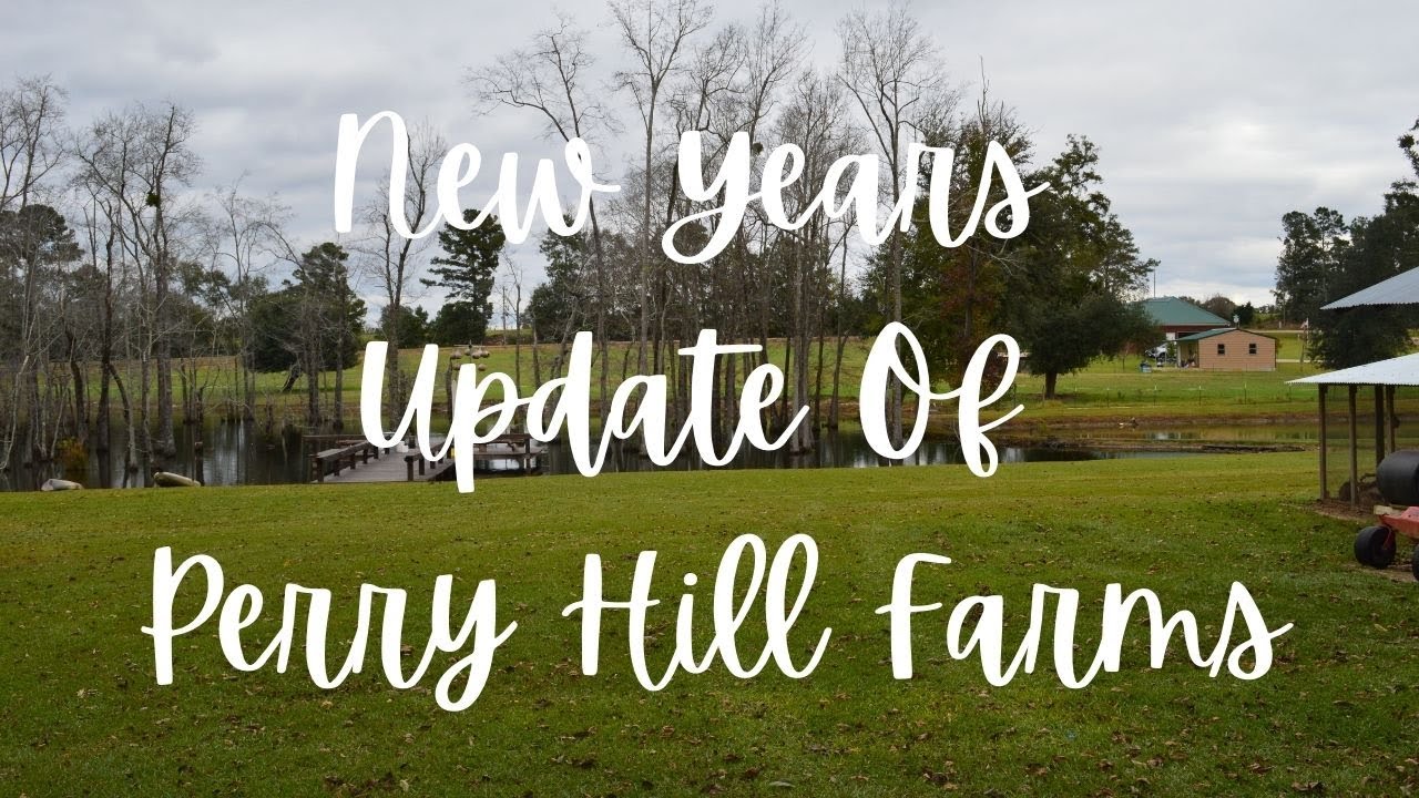 New Years Update Of Perry Hill Farms - YouTube