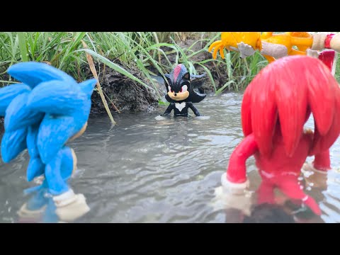 Sonic Hedgehog, Sonic Shadow, Knuckles, Tails, Metal Sonic, Super Sonic, Metal Sonic, Super Shadow