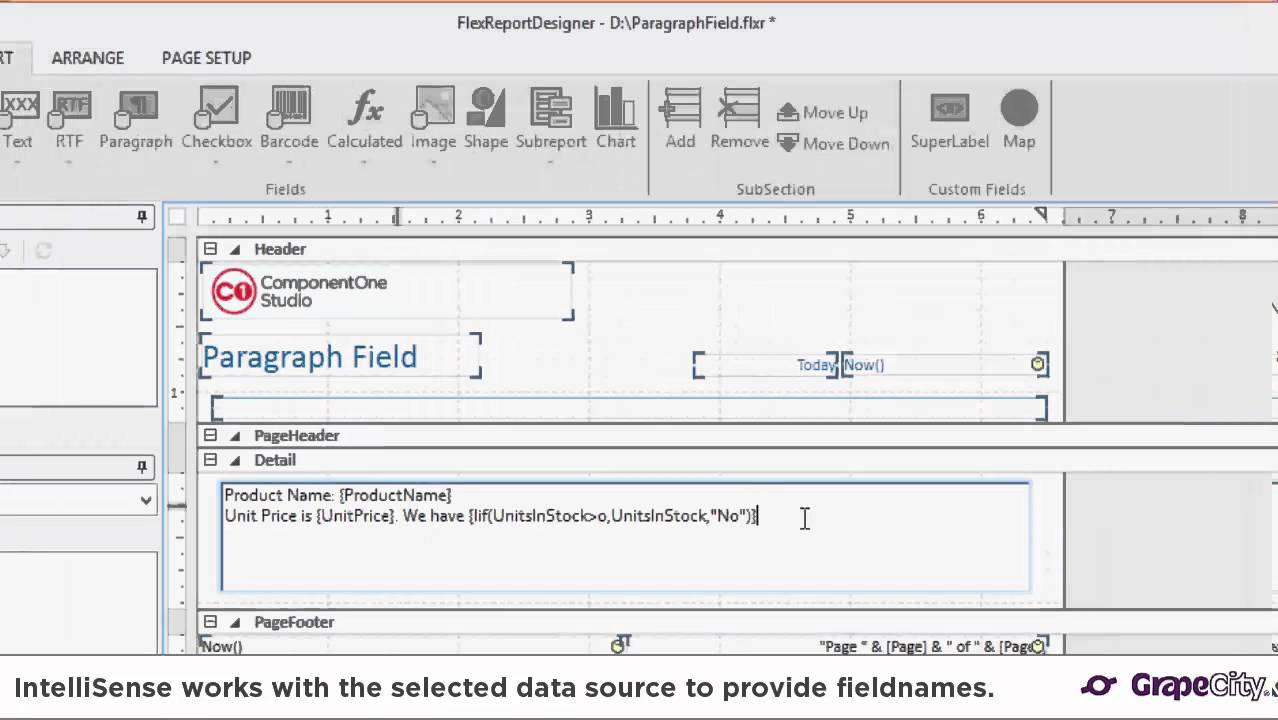 FlexReport for WinForms ParagraphField: Combine static text, database fields, and expressions ...