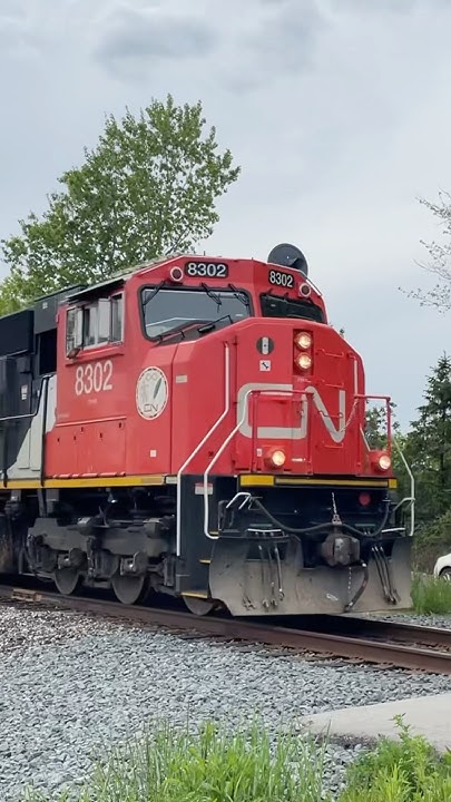 CN 8302 Leading CN L531!!! #cntrain #shortvideos - YouTube