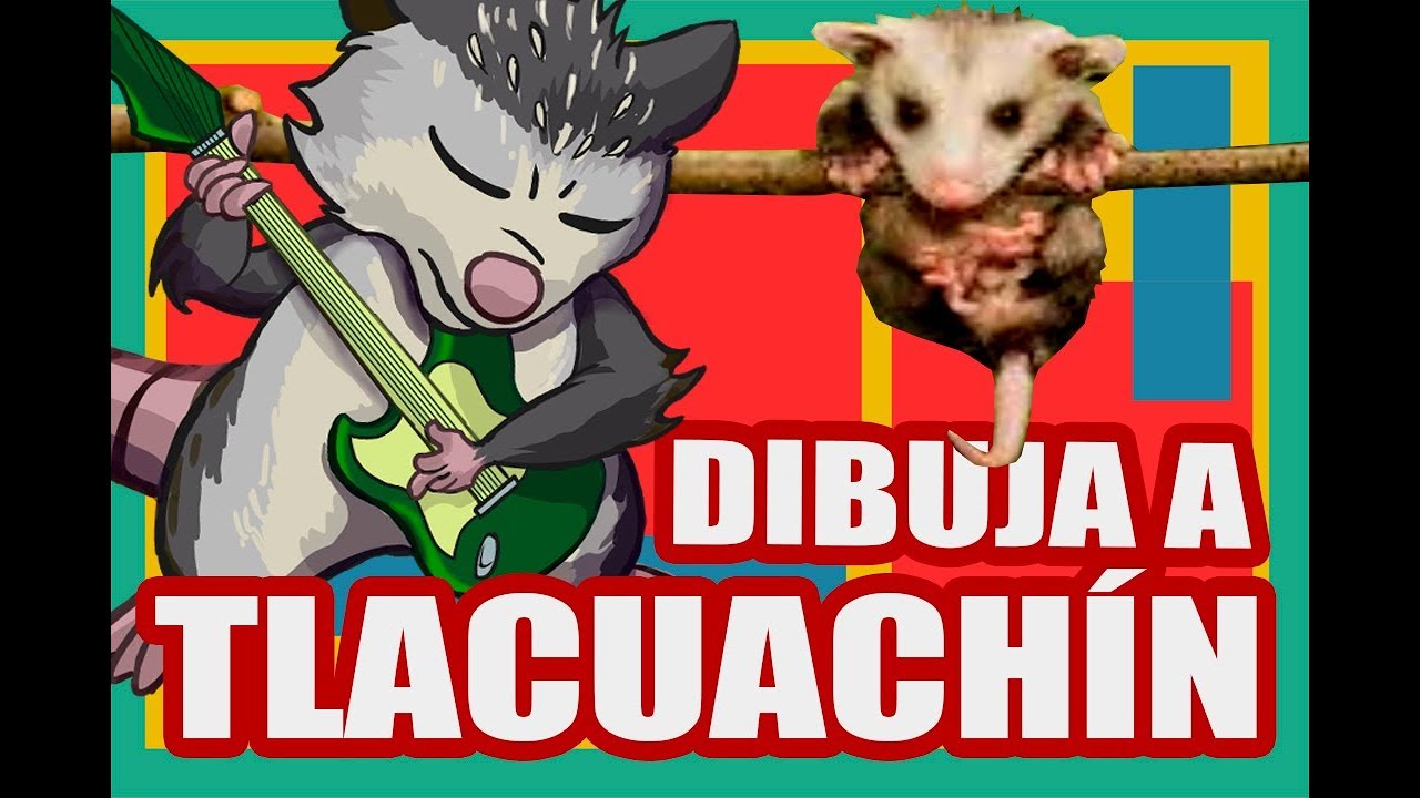 🍇🍏0009 COMO DIBUJAR UN TLACUACHE🍇🍏 - YouTube
