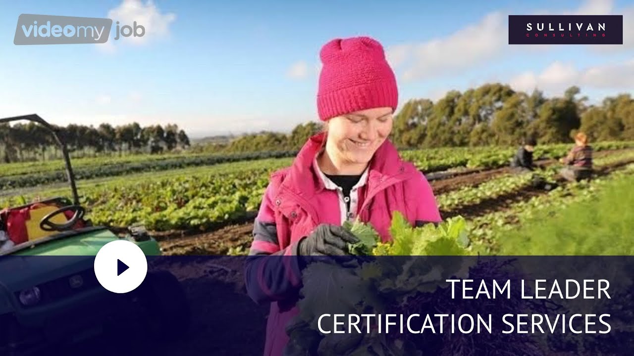 TEAM LEADER CERTIFICATION SERVICES - YouTube