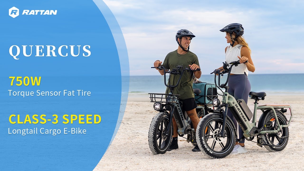 Rattan Quercus Longtail Cargo Ebike | 750w fat tire ebike | Dual ...