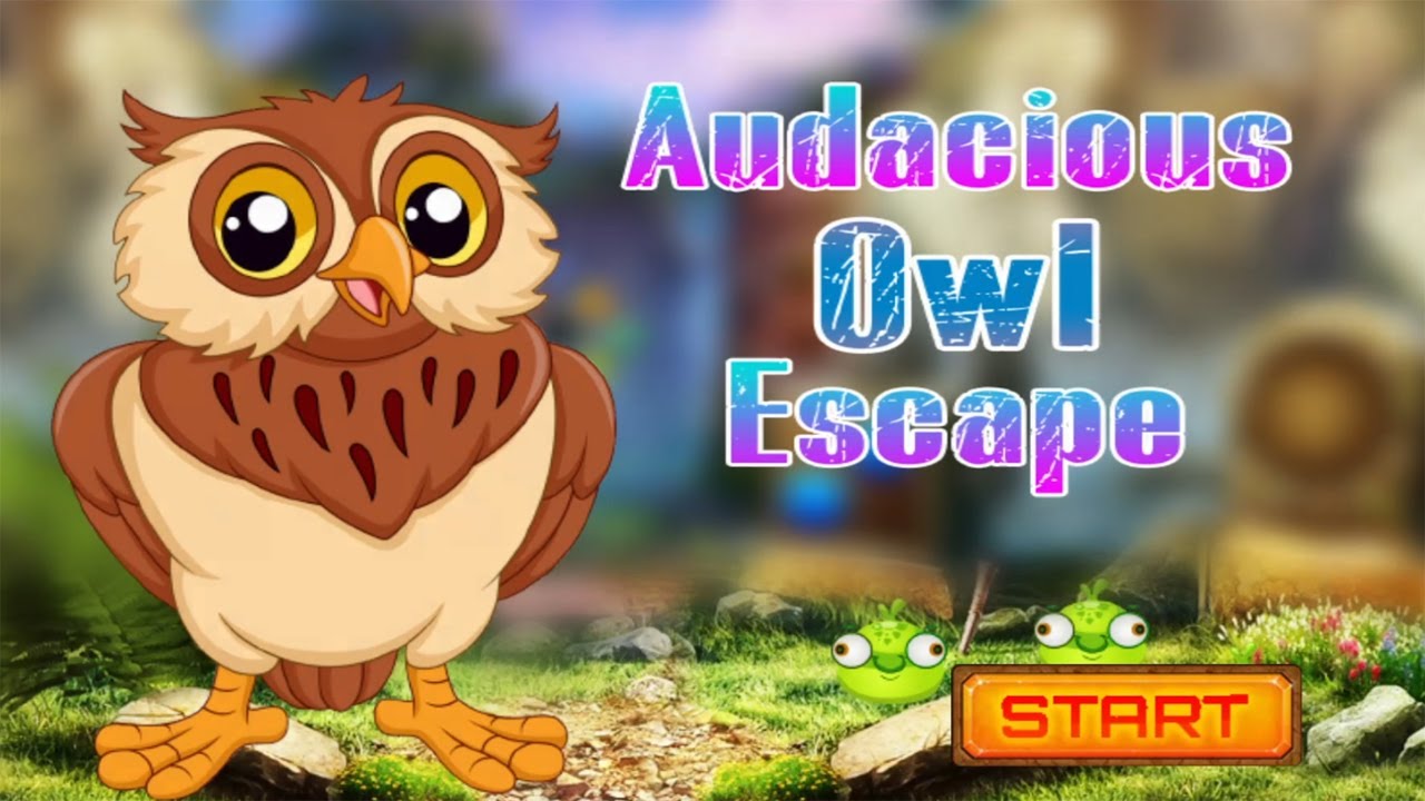 Audacious Owl Escape Walkthrough (Palani Games) - YouTube