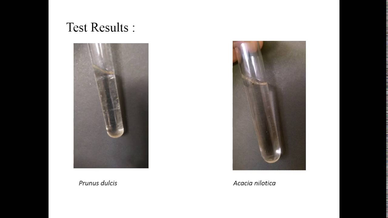 RESINS AS A PRESERVATIVE FOR FRUITS AND VEGETABLES - YouTube