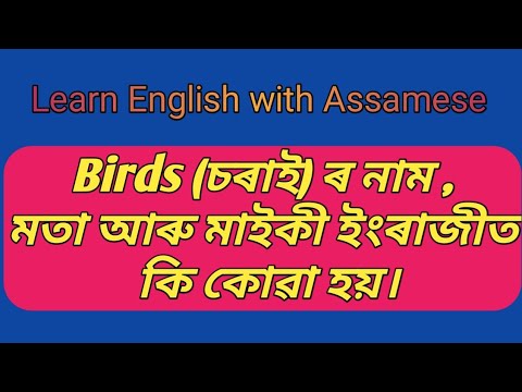 word meaning। word meaning in Assamese।@AdvisorPoint। - YouTube