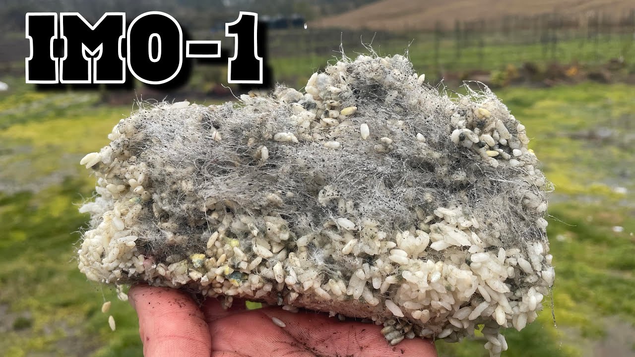 (IMO 1-2) Full Collection Process. KNF. Techniques for winter ...