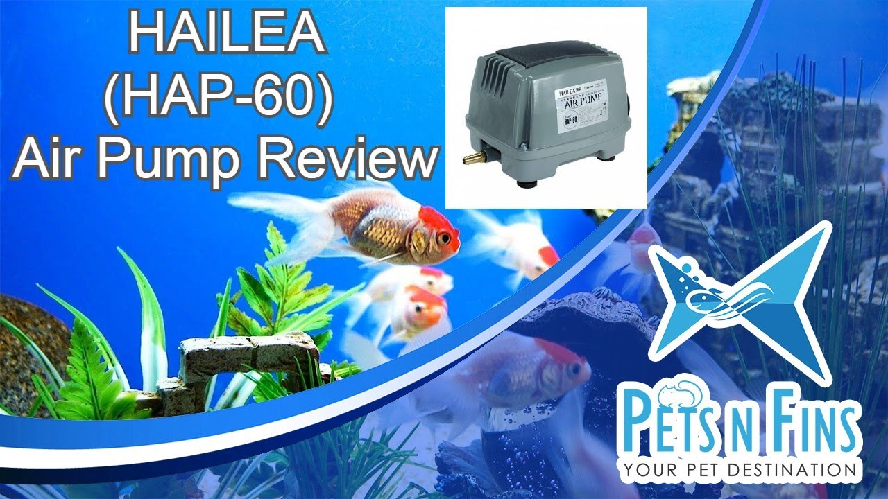 Review of HAILEA (HAP-60) Aquarium Air Pump - YouTube