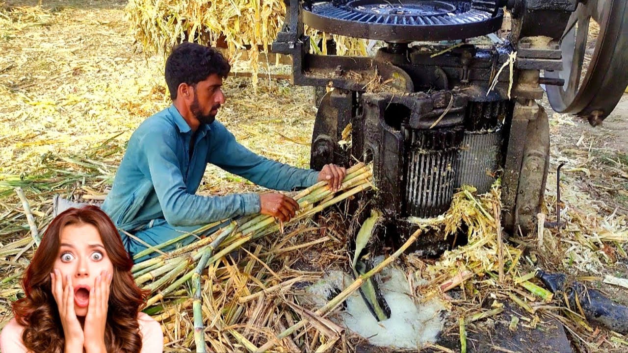 How To Extracting Sugarcane Juice With The Help Of a Peter Engine In ...