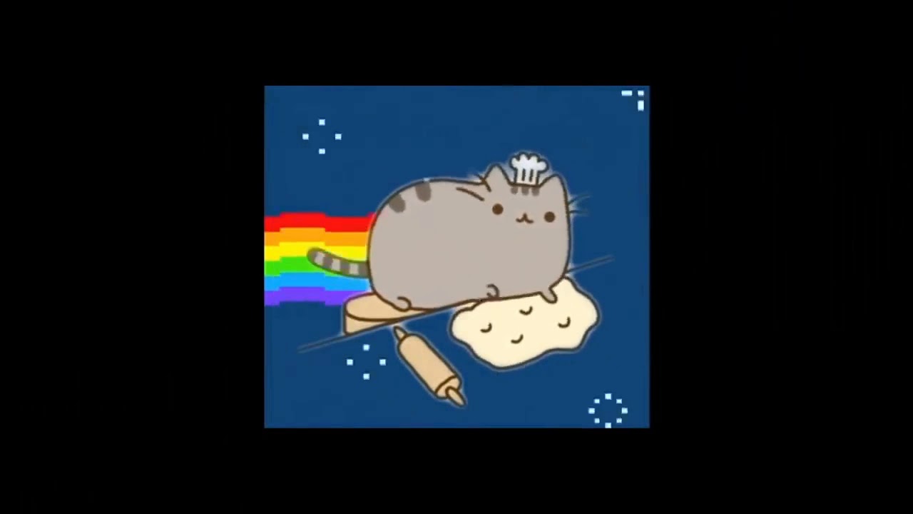 Pusheen Nyan Cat
