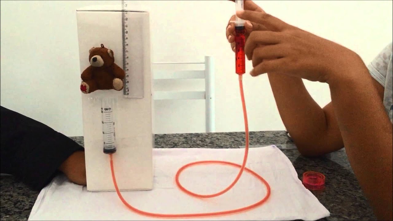 Experimento Pressão Princípio De Pascal E Princípio De Arquimedes
