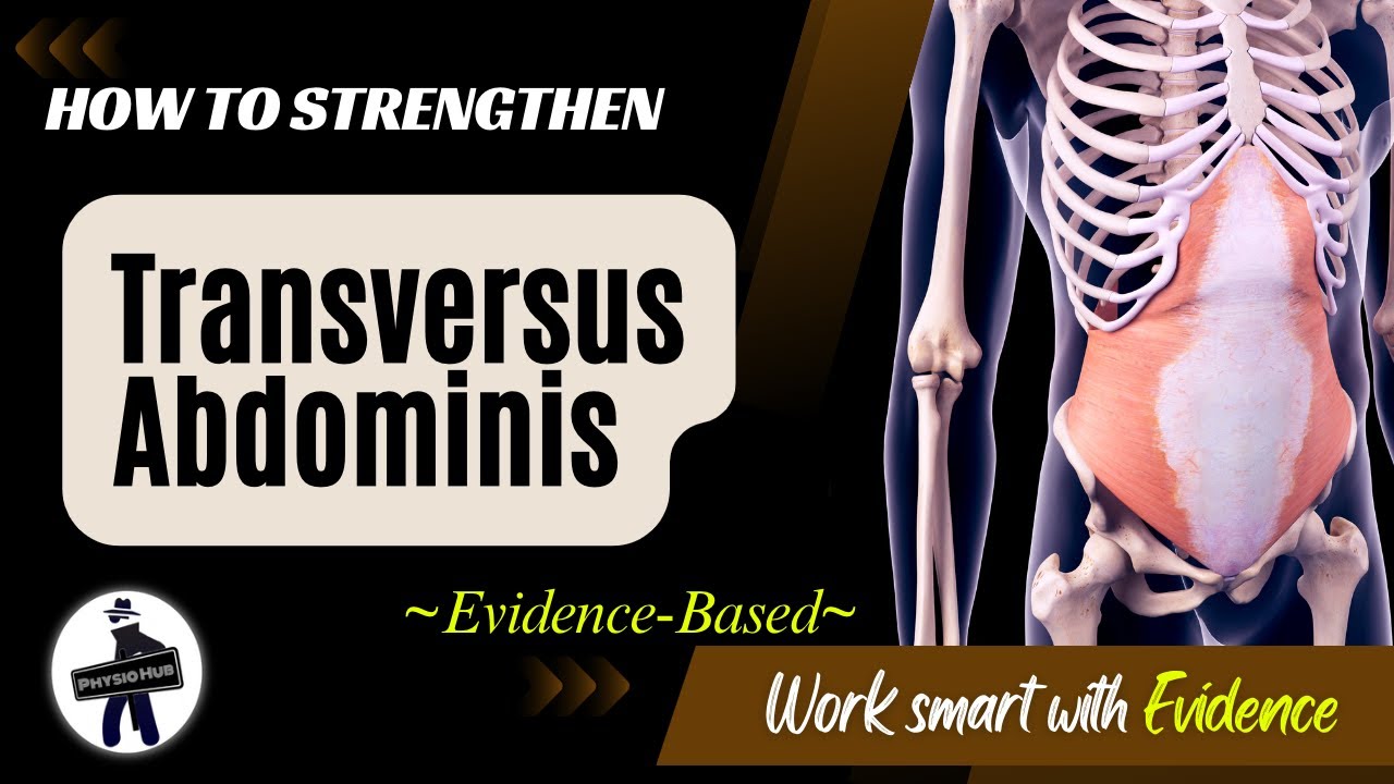 [Transversus Abdominis] Exercise with Evidence - YouTube