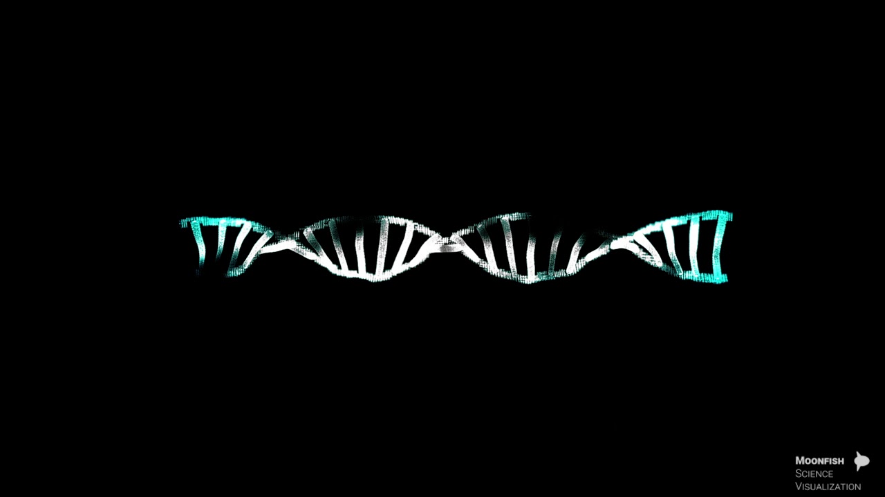 DNA molecule with trap code particle effect in After Effect - YouTube