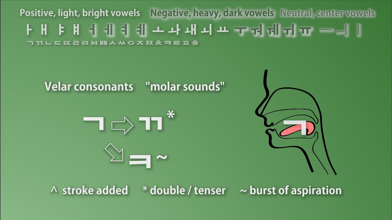21vowels and 19 consonants pronunciation. For beginners. - YouTube