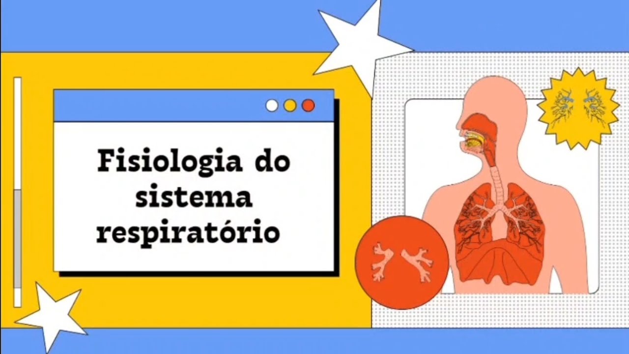 Grupo: Isabele Bocker, Paullynne, Beatriz, Laina, Andressa, João Vitor ...