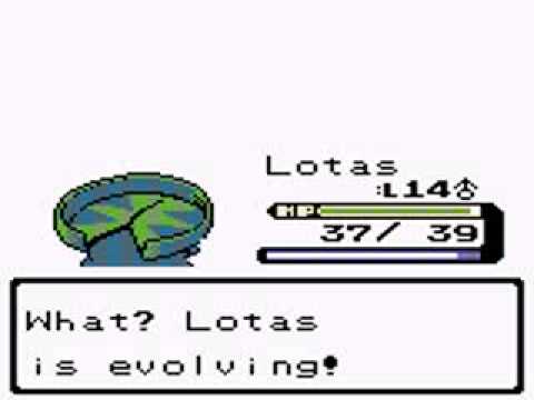 Pokemon Prism: Lotas the lotad evolves. - YouTube