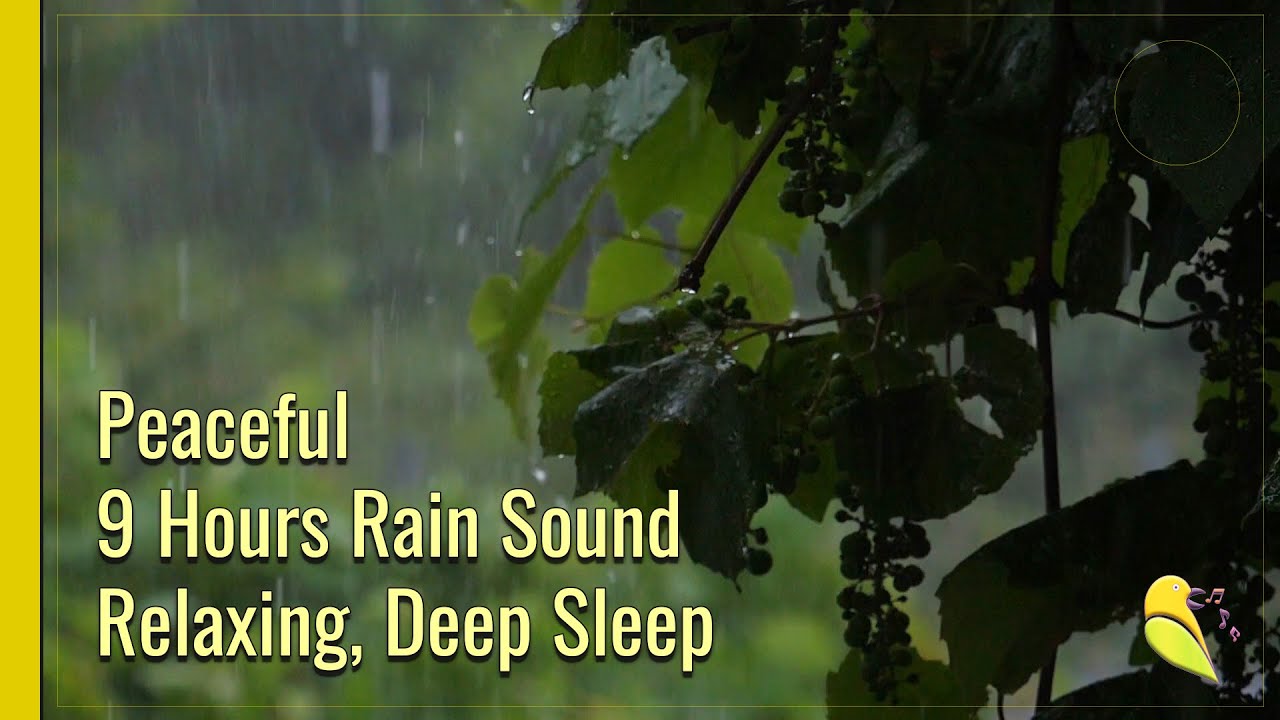Rain Sound for Deep Sleep, Study, Focus, Relaxing, White Noise ...