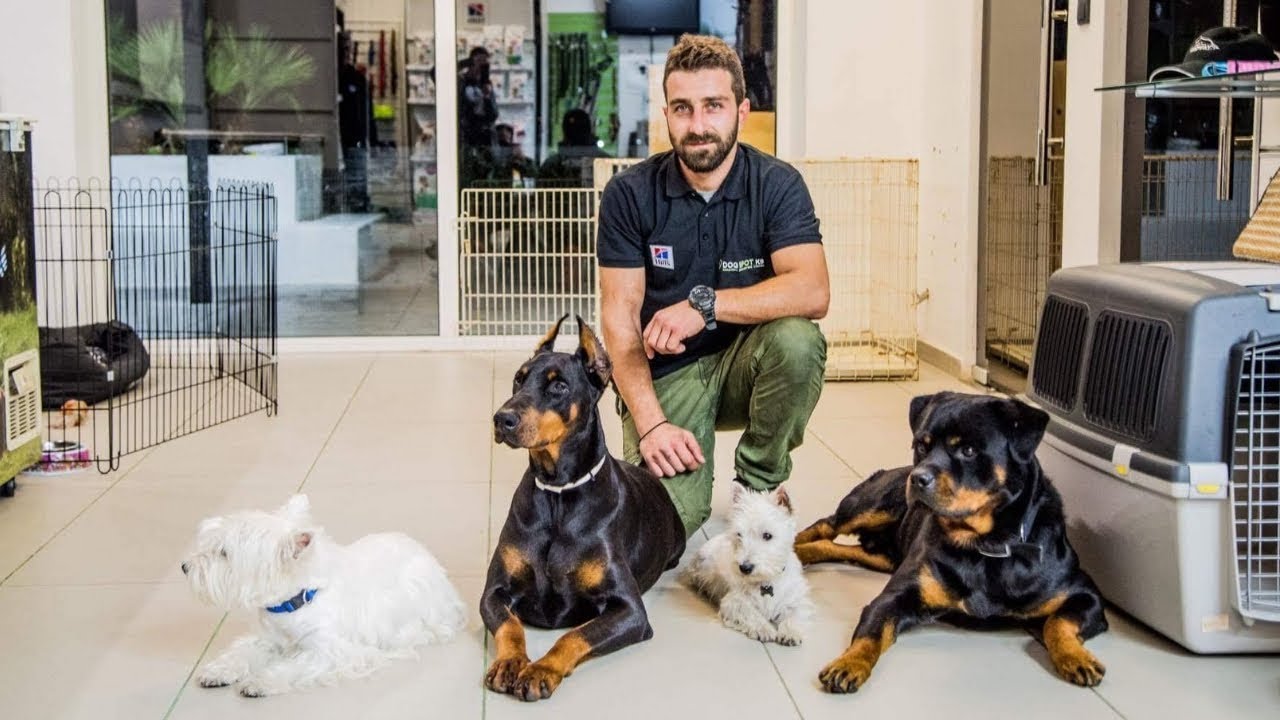 Εκπαιδευτής Σκύλων – Dog Spot K9 – Ακαδημία Εκπαίδευσης Σκύλων – Επ.1 ...