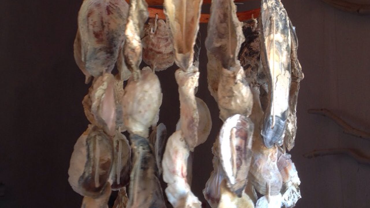 How To Make A Pretty Wind Mobile With Oysters Shells - DIY Home ...