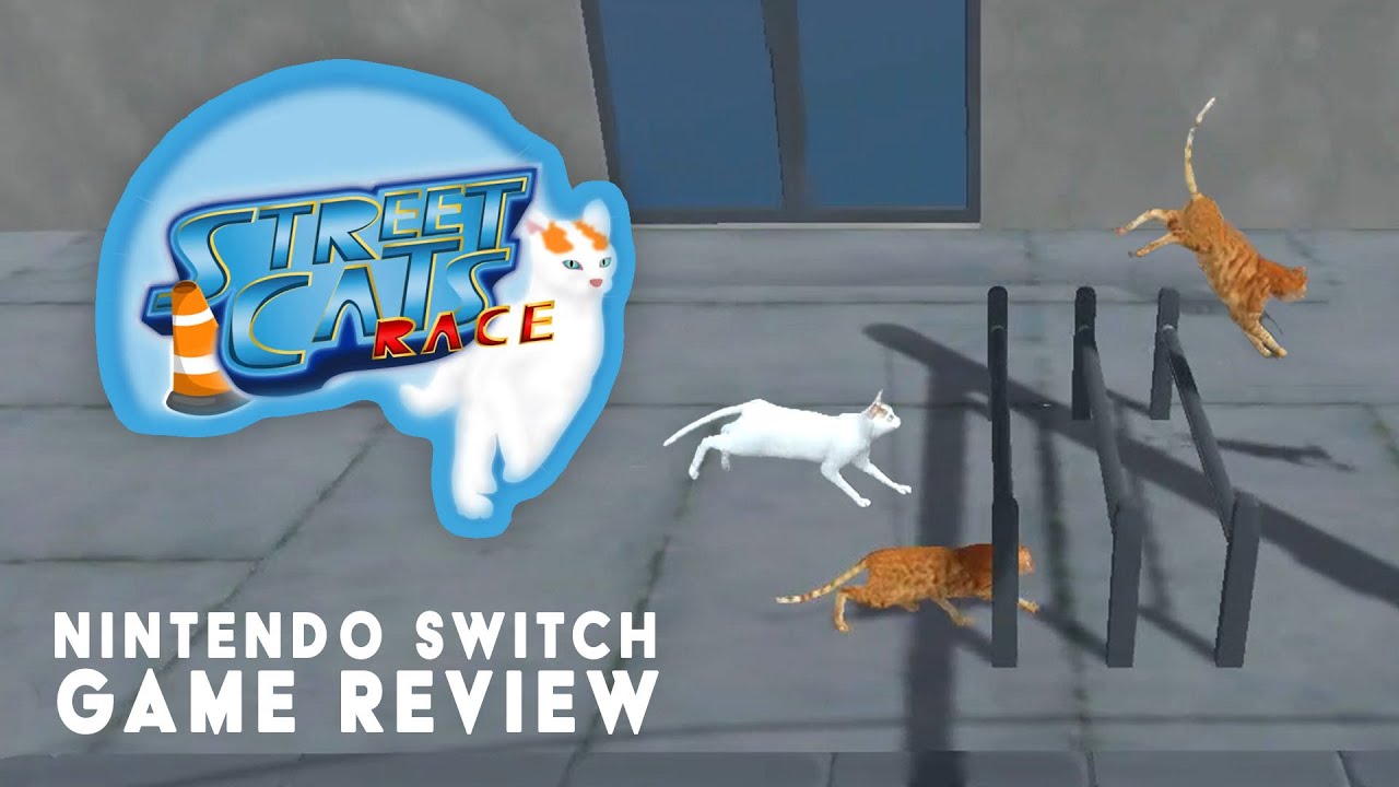 Street Cats Race Game Review | Nintendo Switch Indie Game Review - YouTube