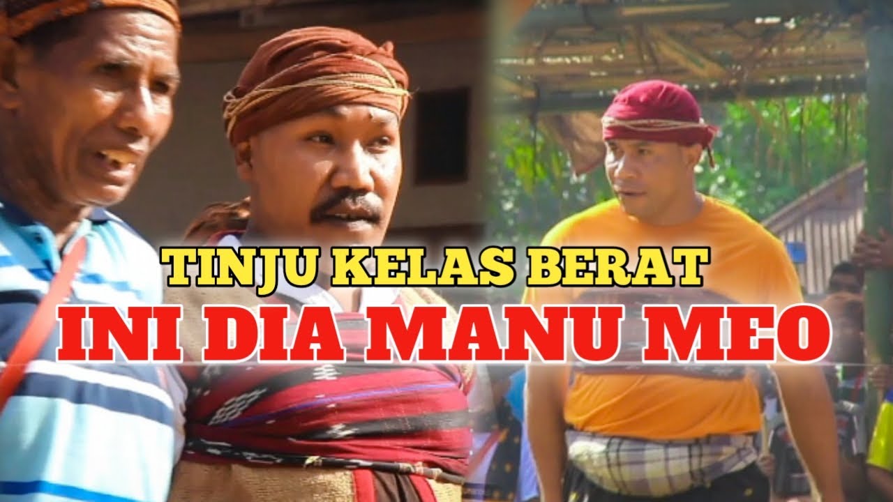 INI MANU MEO BARU DUA RONDE LAWANYA MENYERAH - YouTube