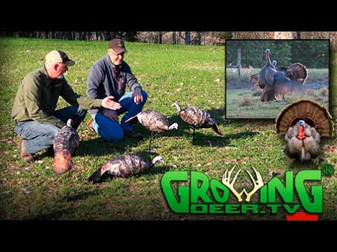 Hunting How To | Frost Seed Clover | Hunt With Turkey Decoys And More ...
