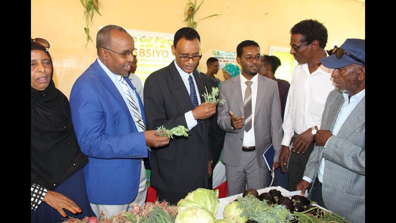 Maxaa u qabsoomay maamulka Degmada Arabsiyo?: Waraysi Mayor Hamse Haji ...