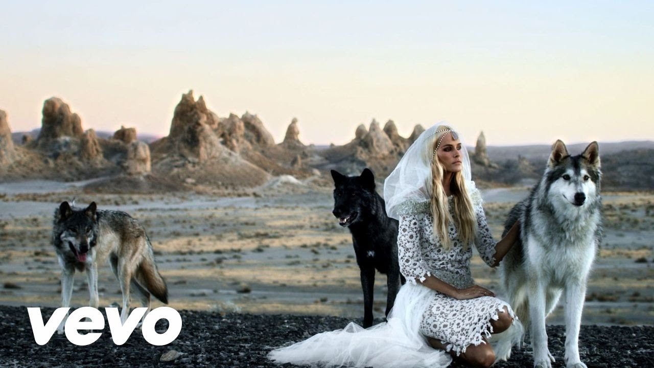 Angus Stone - Bird On The Buffalo - YouTube