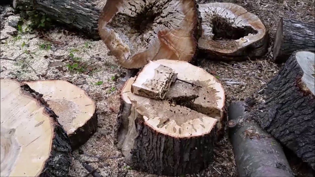 Don't Stick Metal in Trees - YouTube