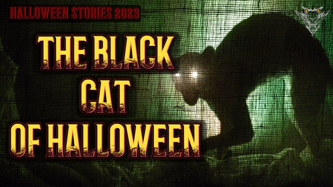 Bandit, The Black Cat of Halloween | Halloween Horror Story - YouTube