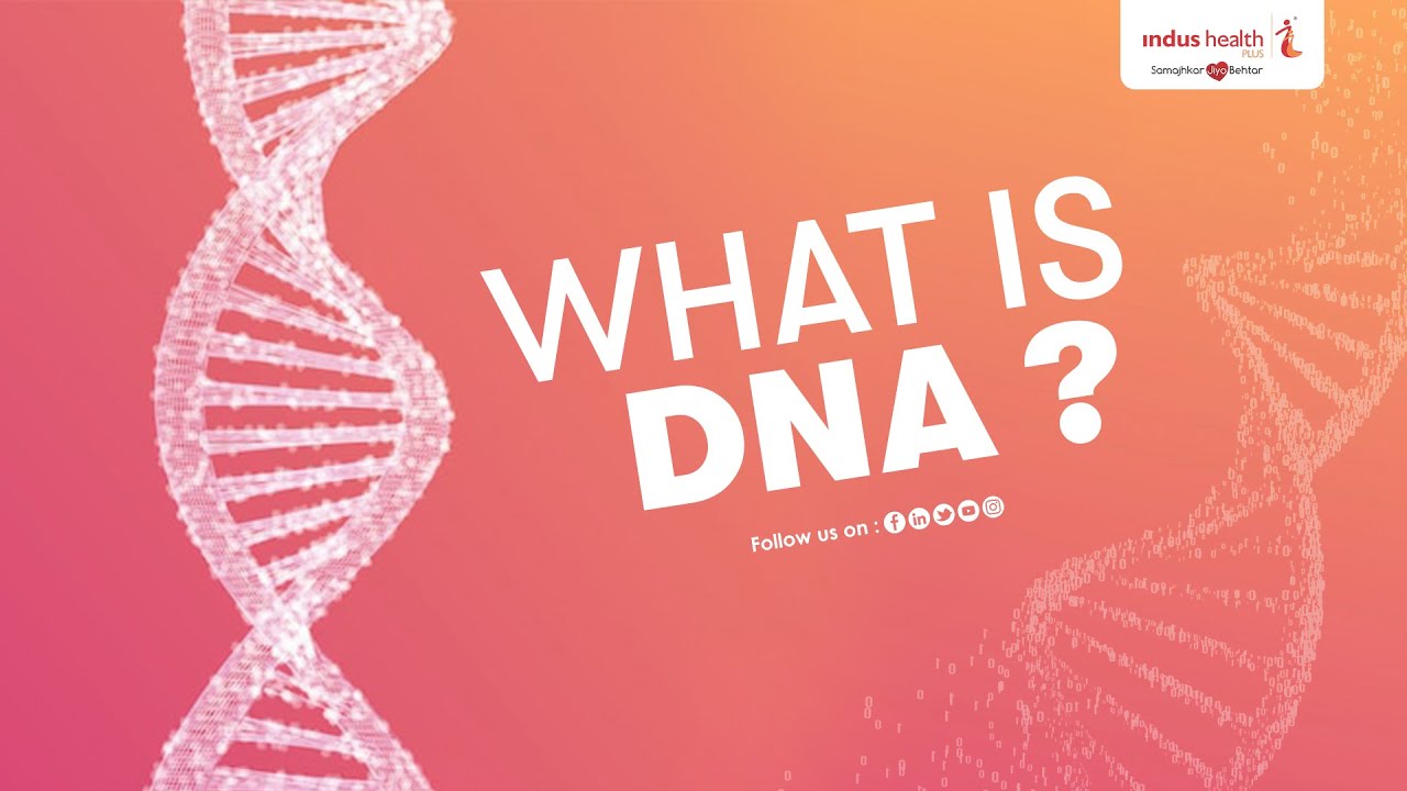 What is DNA ? - The blueprint of life! - YouTube