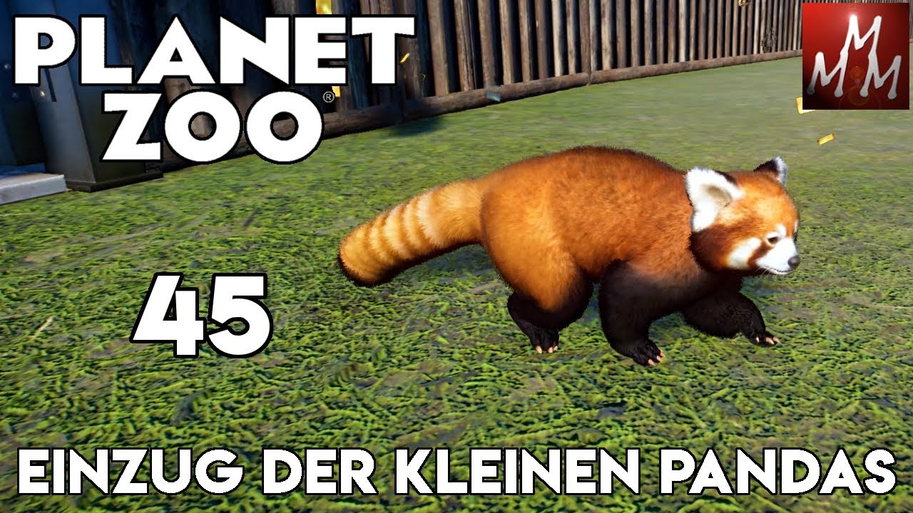 Einzug der kleinen Pandas • Let's Play • PLANET ZOO 45 - YouTube