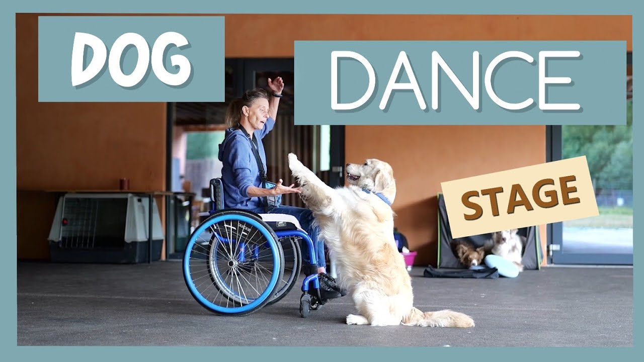 STAGE DOG DANCING 2023 - THE FLASH DOGS - YouTube