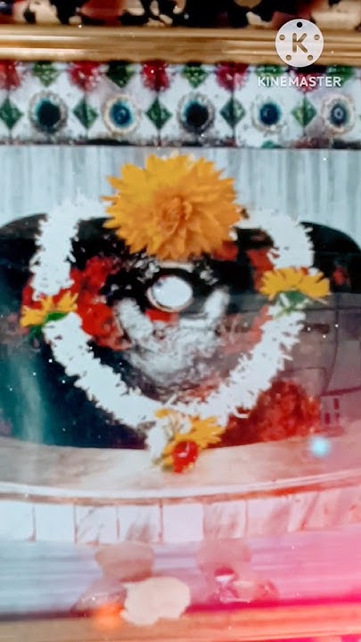 jab bhi sawan aaye bhole ke deewane bhole🕉️bam bam bhole♥️Jay baba taraknath #mahadev #sorts # ...