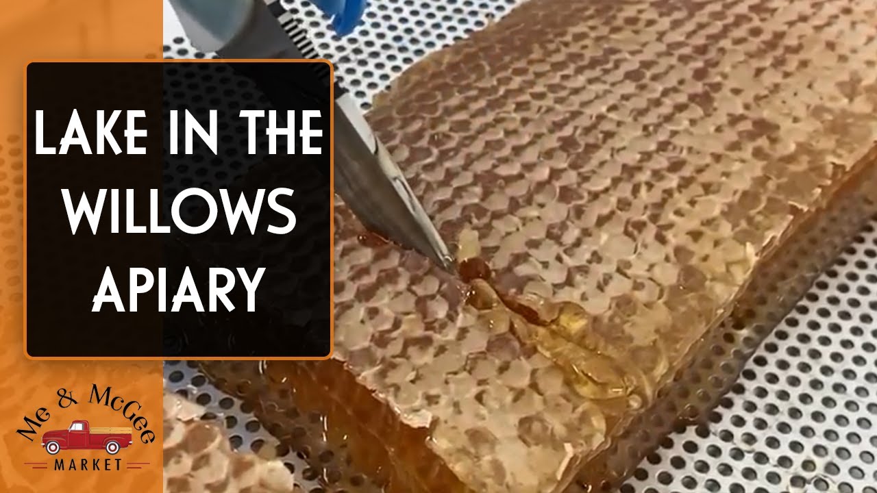 Beekeeping | Lake in The Willows Apiary: Farm Tour (2020) - YouTube