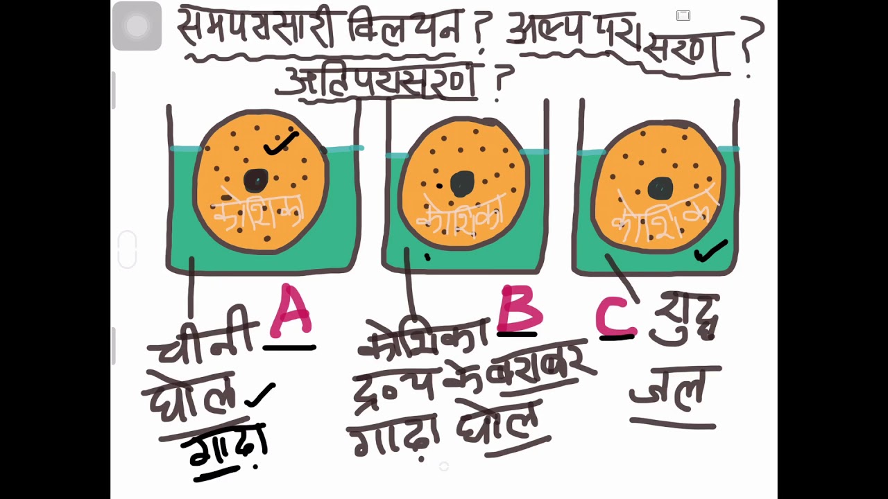 Diffusion And Osmosis Class 9 Science Ch 5 NCERT YouTube diffusion-and-osmosis-class-9-science-ch-5-ncert-youtube