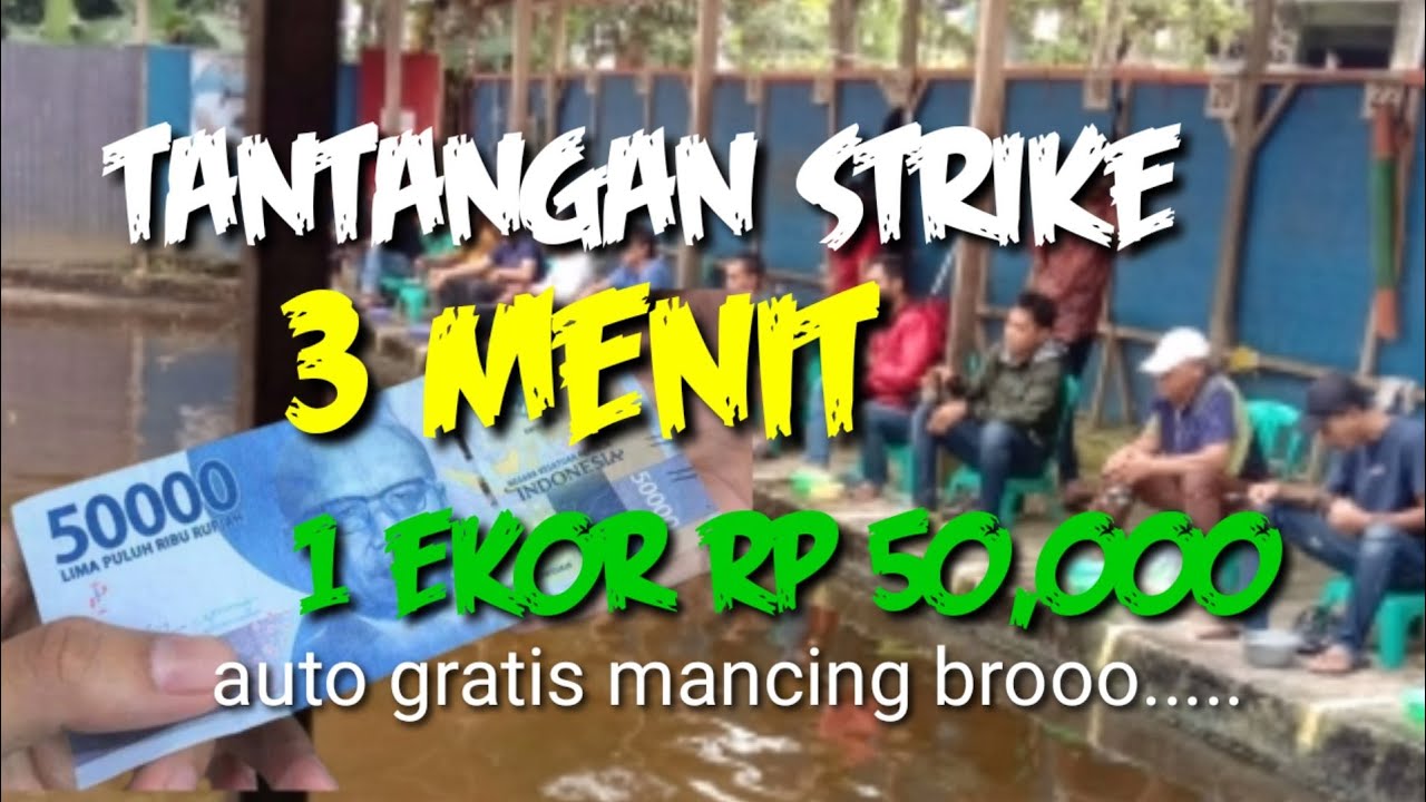 bagi-bagi duit di pemancingan galatama lele , auto mancing gratis - YouTube