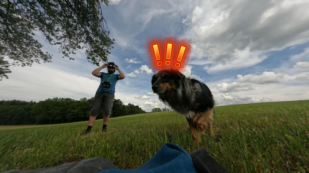 full vid: flying a fpv freestyle drone while there is a dog around ...