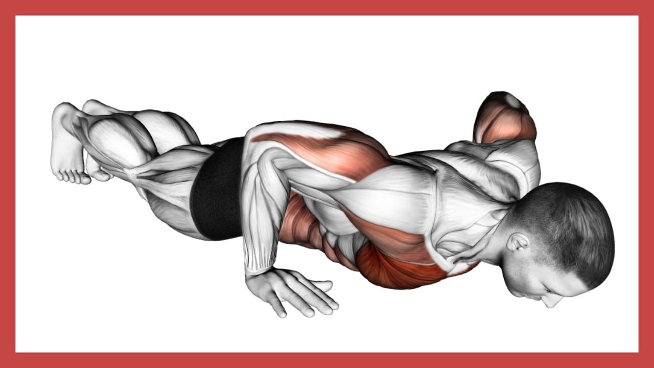 Push up Workout for Chest and Arms | Beginner Push up Workout ...