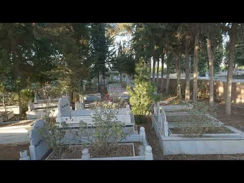 Ücretsiz ve Telifsiz Videolar | 4K Mezarlık Görüntüsü