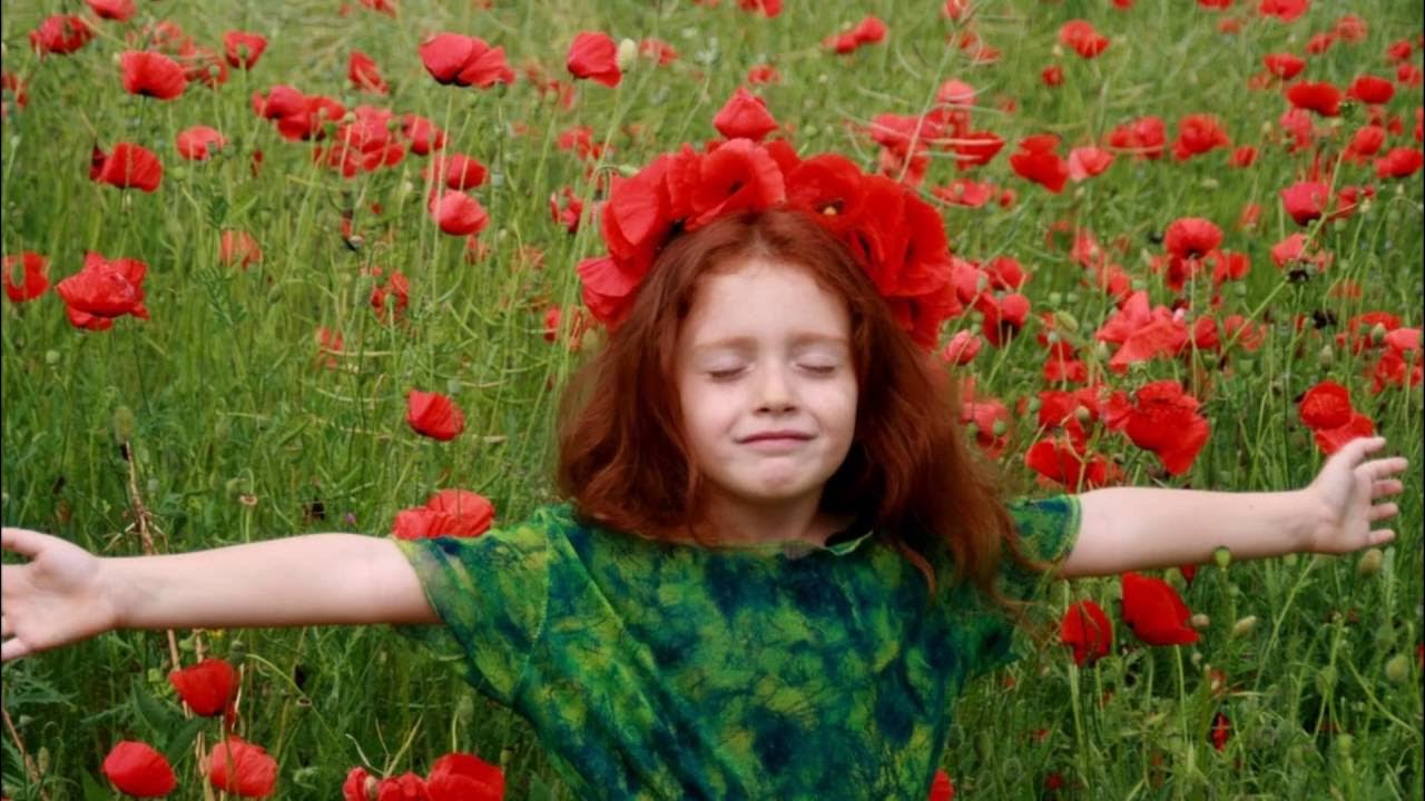 We Will Remember Them - Beautiful 'Song of Peace' & Remembrance - YouTube