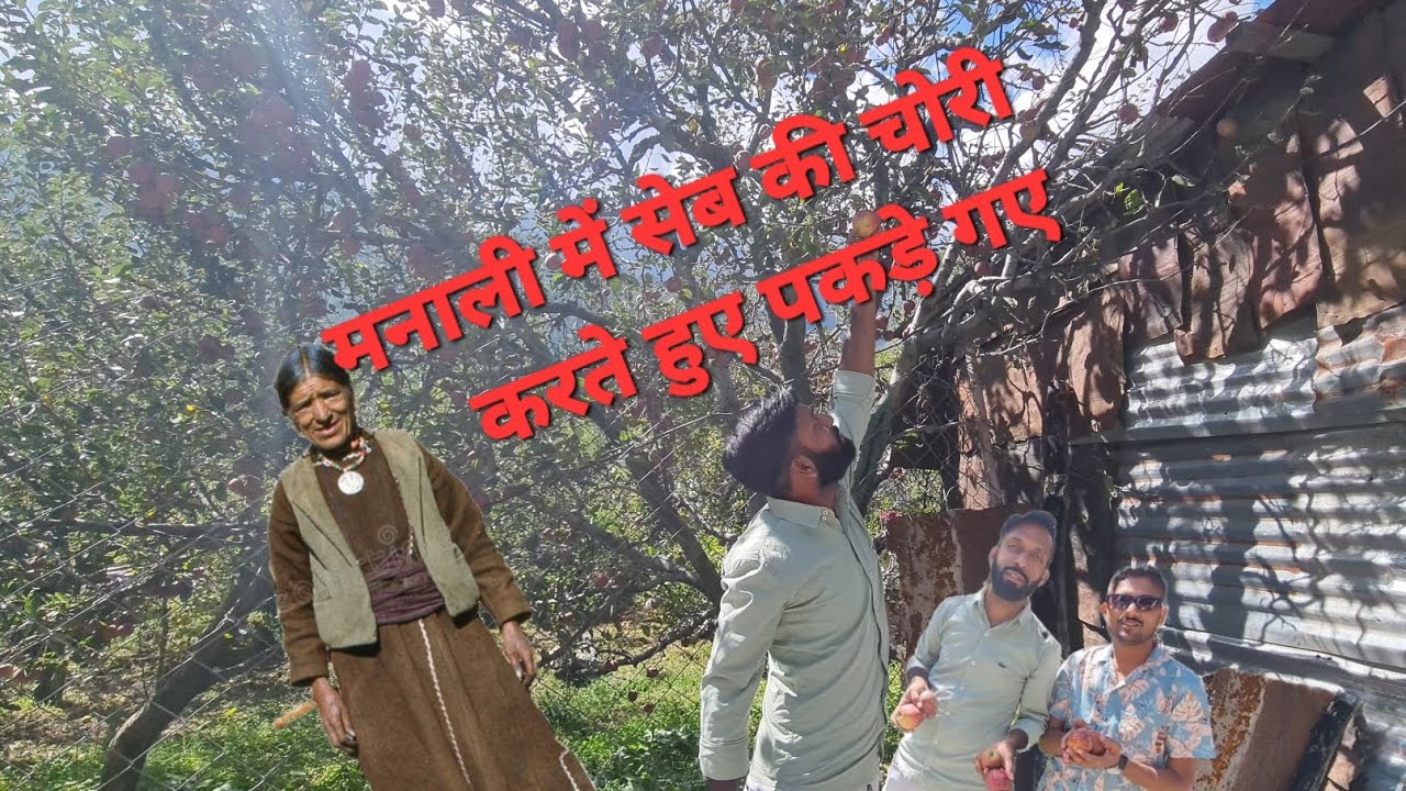 Manali main Kari Apple 🍎 ki chhori 😅😅|| part -3 || Apple garden ...
