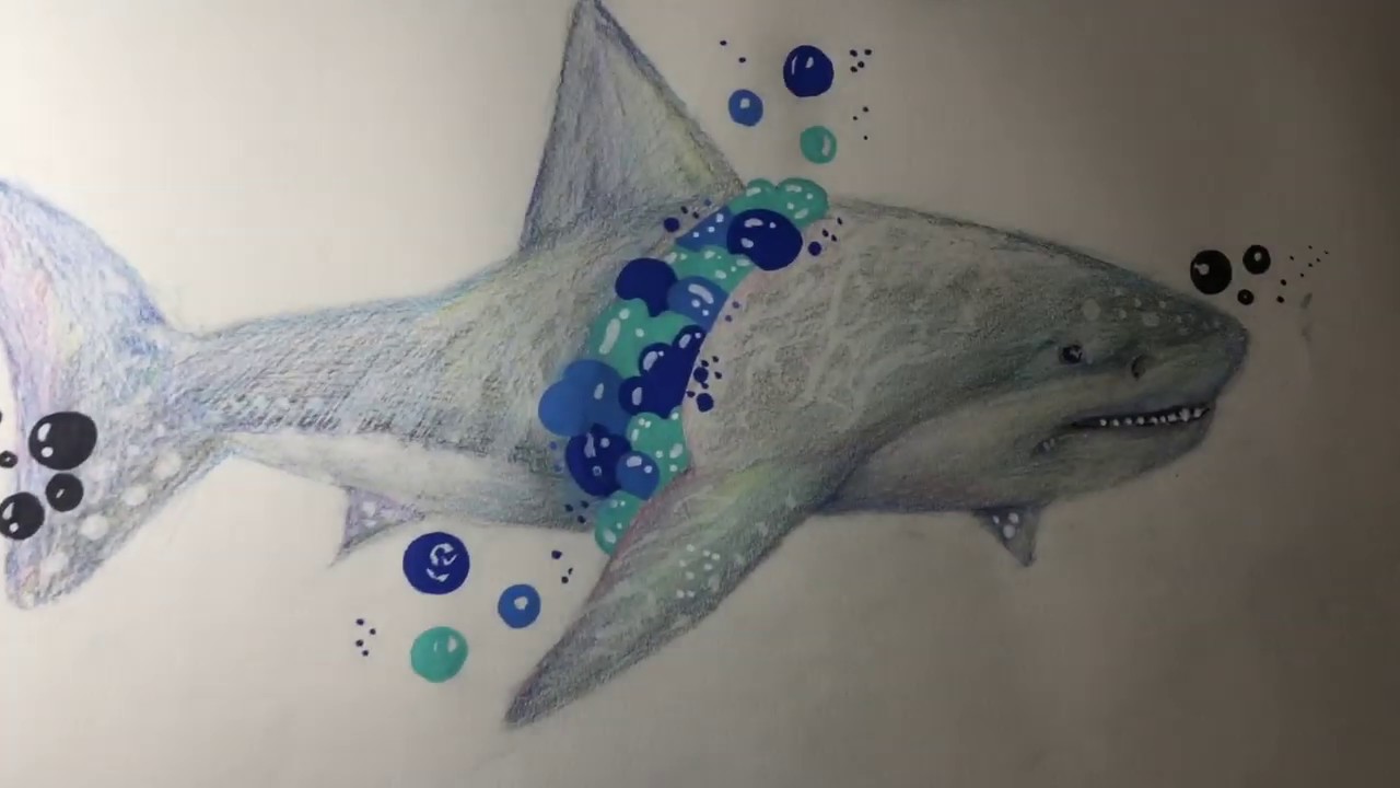 Drawing a graffiti style shark with prismacolor markers - YouTube