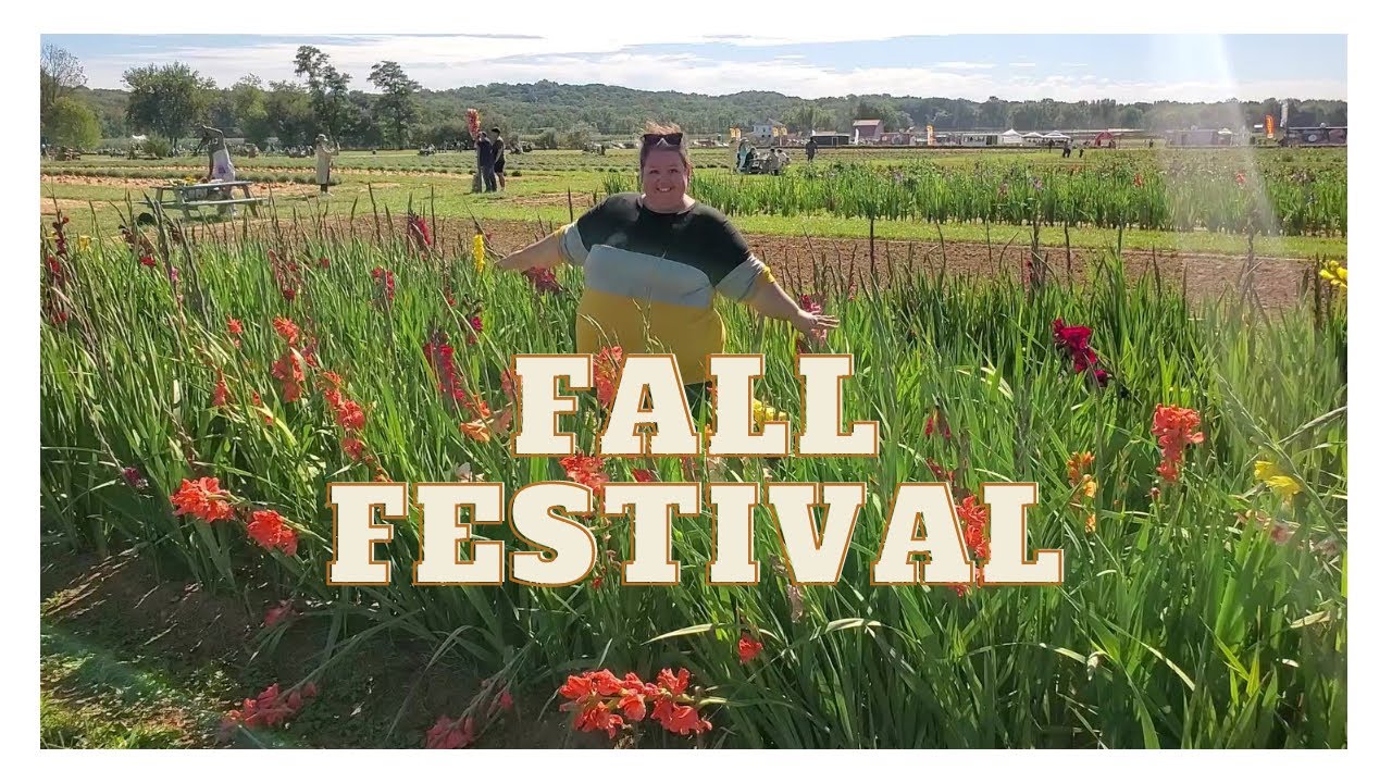 FALL FESTIVAL 2022 | sunflowers | food trucks - YouTube